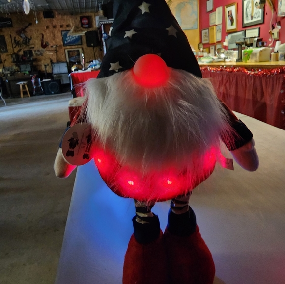 Other | 2 Adorable Lighted Gnomes | Poshmark